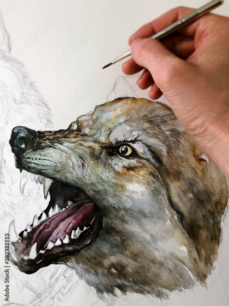 Canis lupus Stock Photo | Adobe Stock