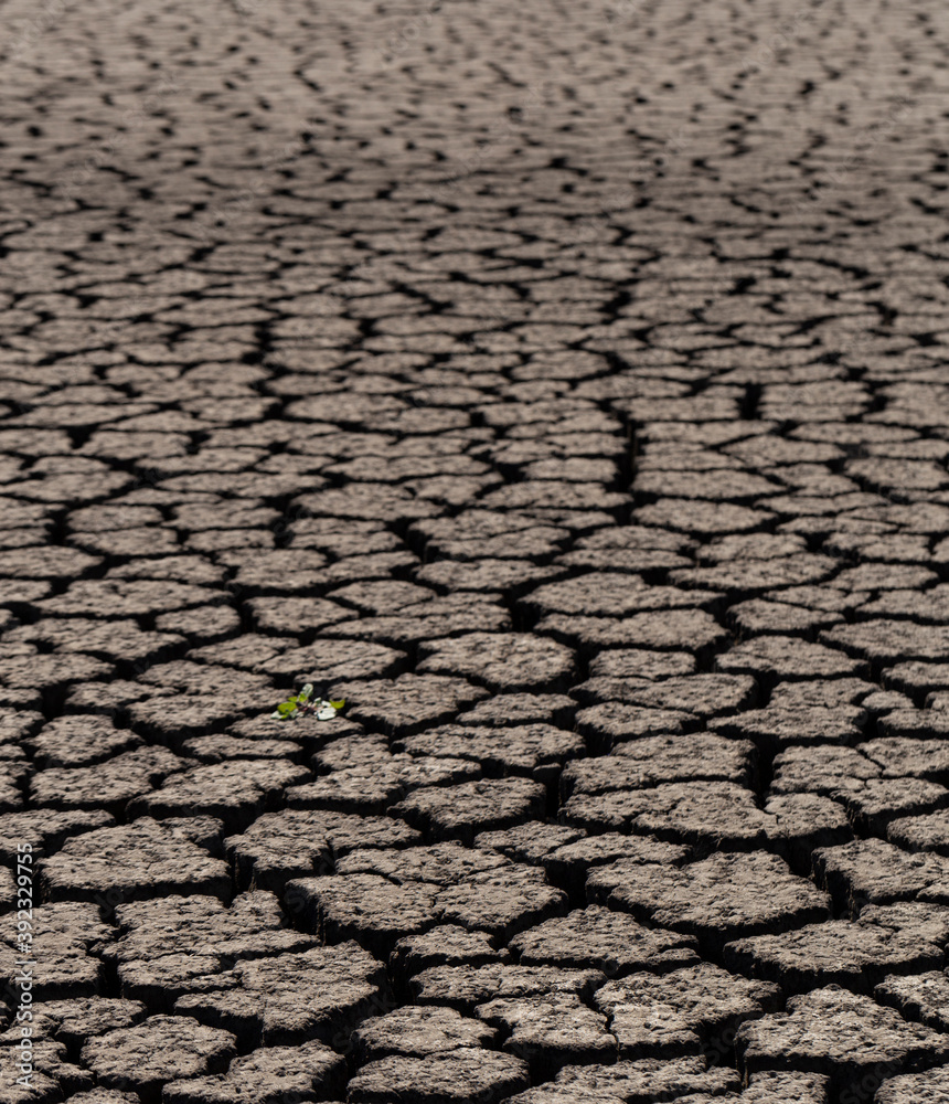 Earth cracked because of drought. The global shortage of water on the ...