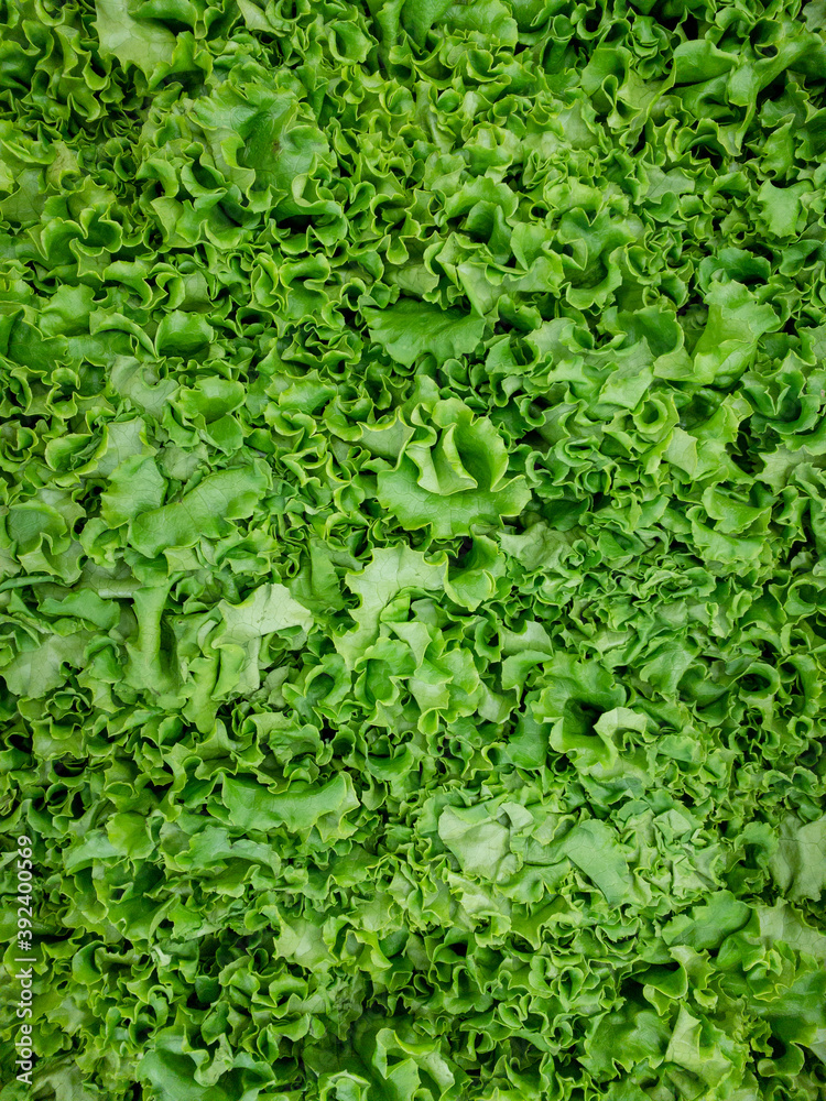 full-screen vegetable leaves background by flat lays view, healthy ...