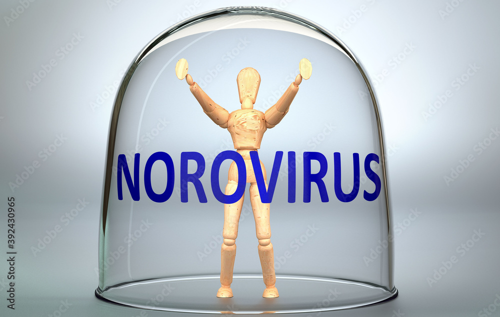 Norovirus can separate a person from the world and lock in an invisible ...