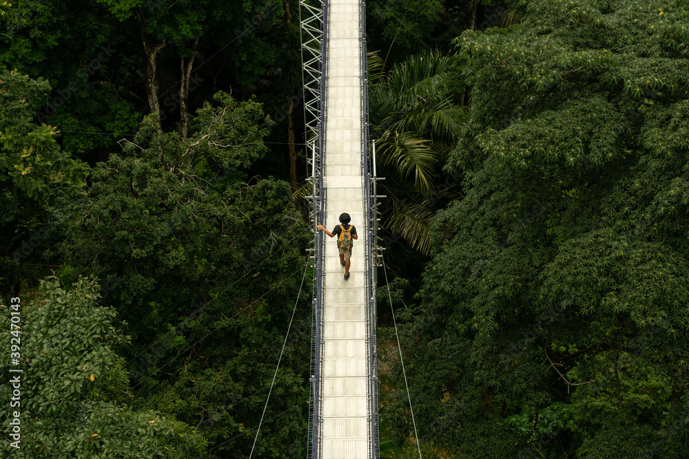 Man walking on a treetop canopy sky bridge in the forest in Malaysia ...
