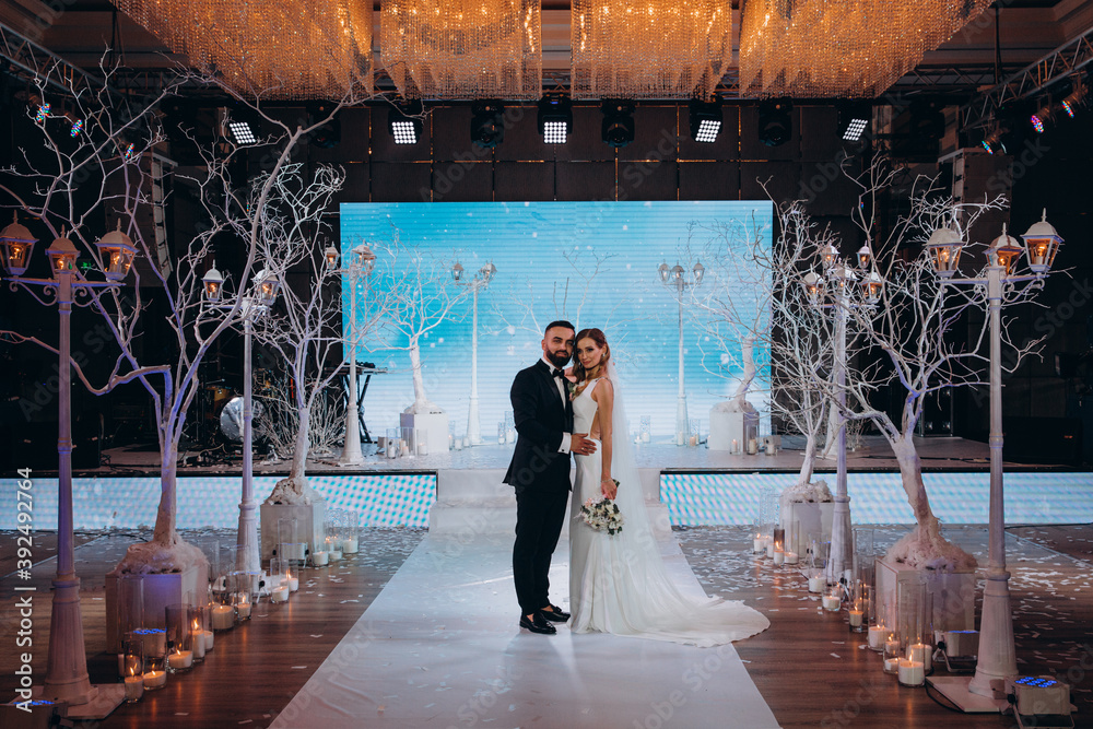 Beautiful photo session of the bride and groom on stage. Wedding ...
