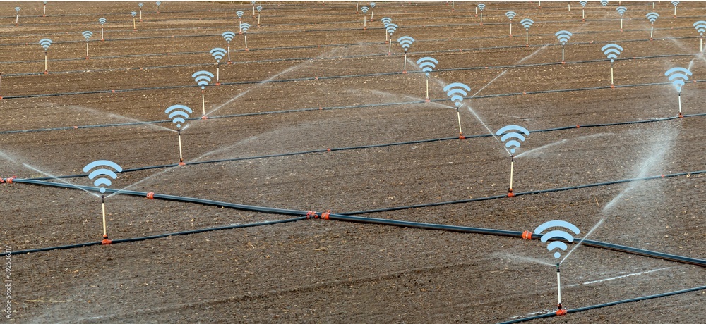 With wifi controlled smart irrigation system. Smart farming ...