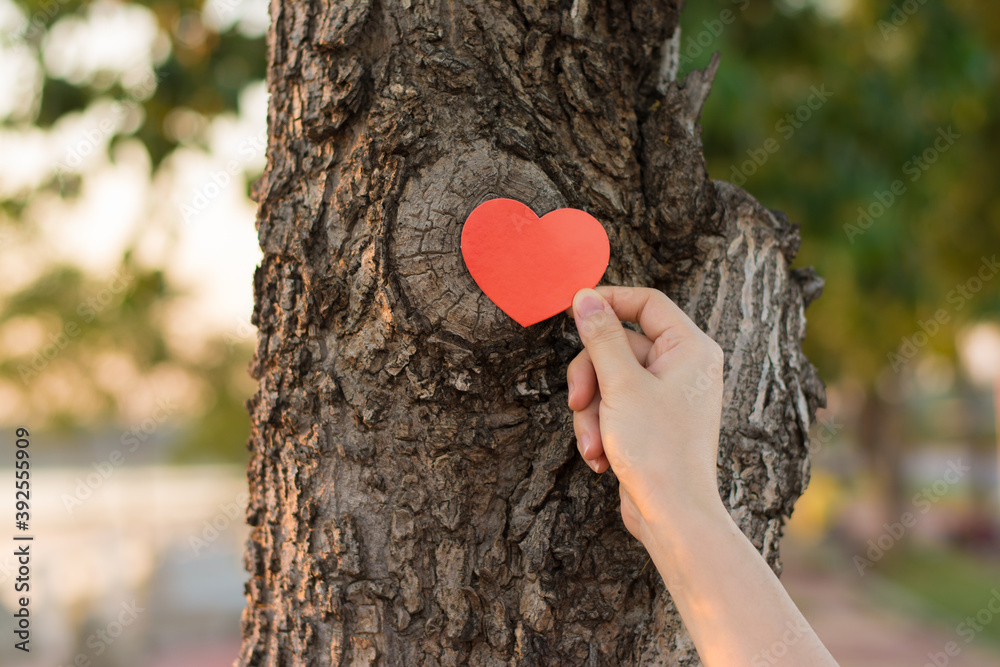 Love nature concept, woman give a hug behind tree, Tree hugging. Close ...