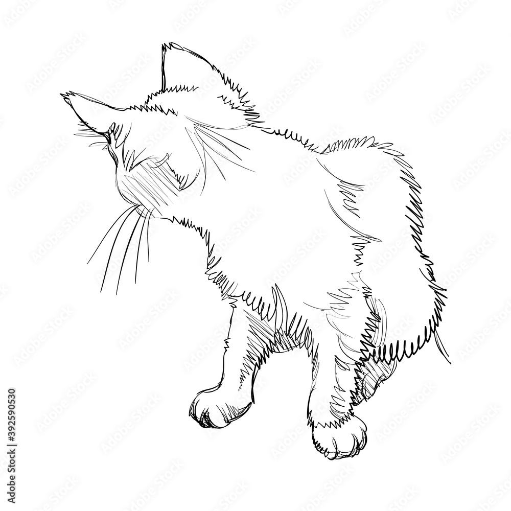Vector Illustration of Adorable Small Cat. Sketched Little Cute Kitten ...