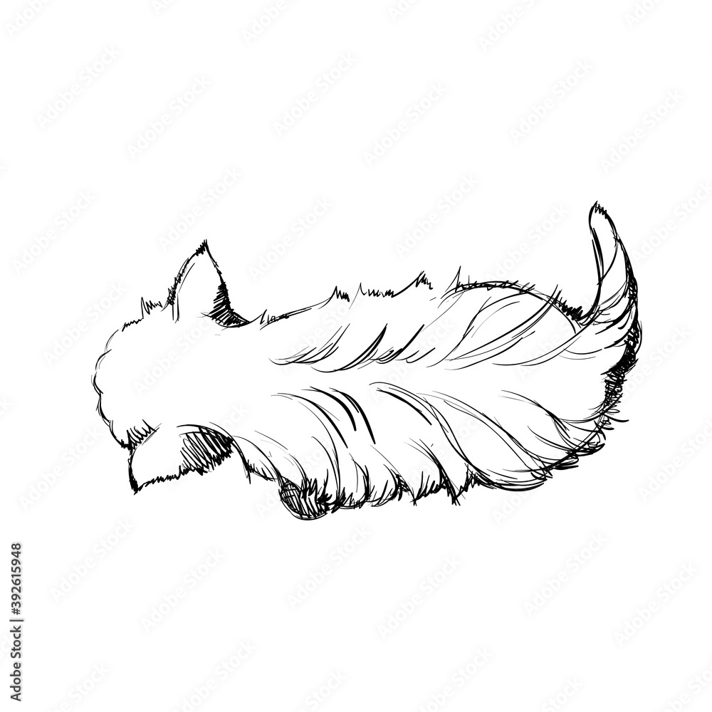 Vector Illustration of Adorable Small Cat. Sketched Little Cute Kitten ...
