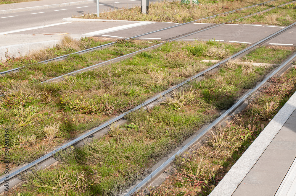 grass growing between the tramway tracks in a city Stock Photo | Adobe ...