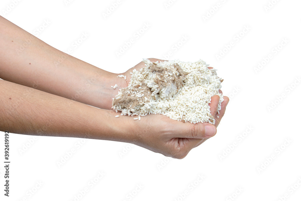 Foto de Whole grains of uncooked Thai Jasmine Rice with black and white ...