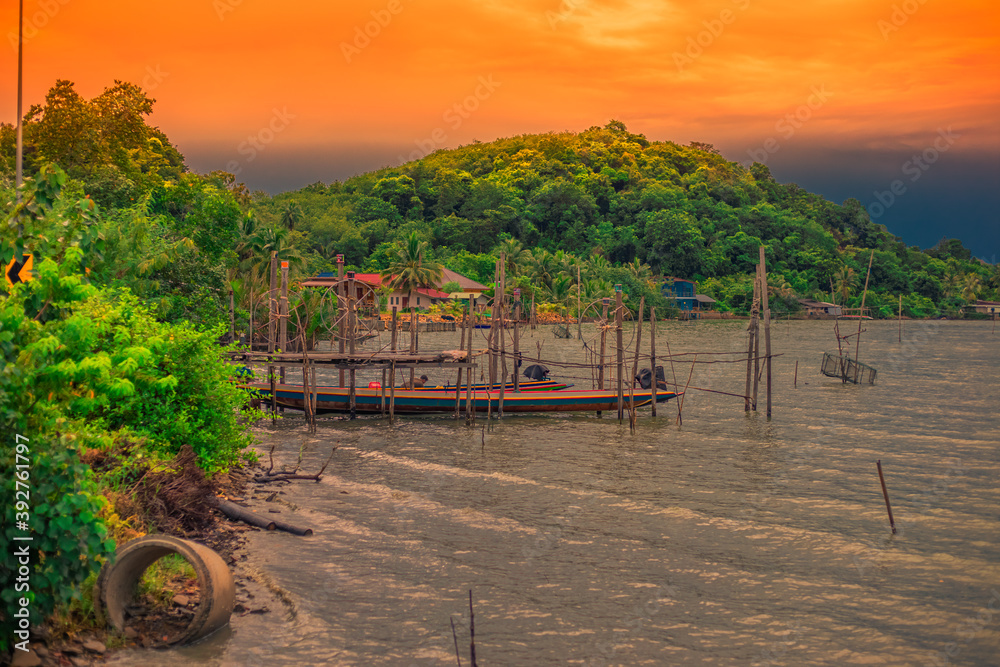 Foto de Blurred nature background view of naturally occurring trees and ...