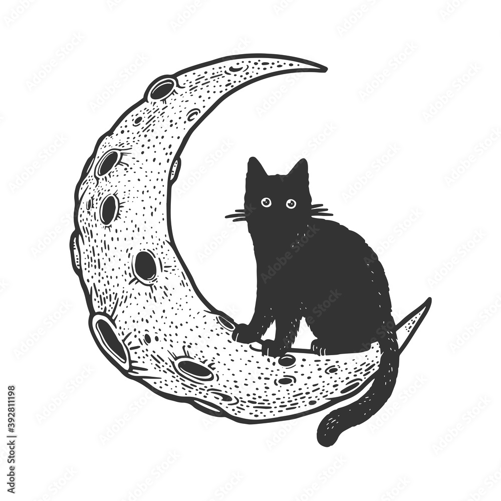 Cartoon cat on Moon sketch engraving vector illustration. T-shirt ...