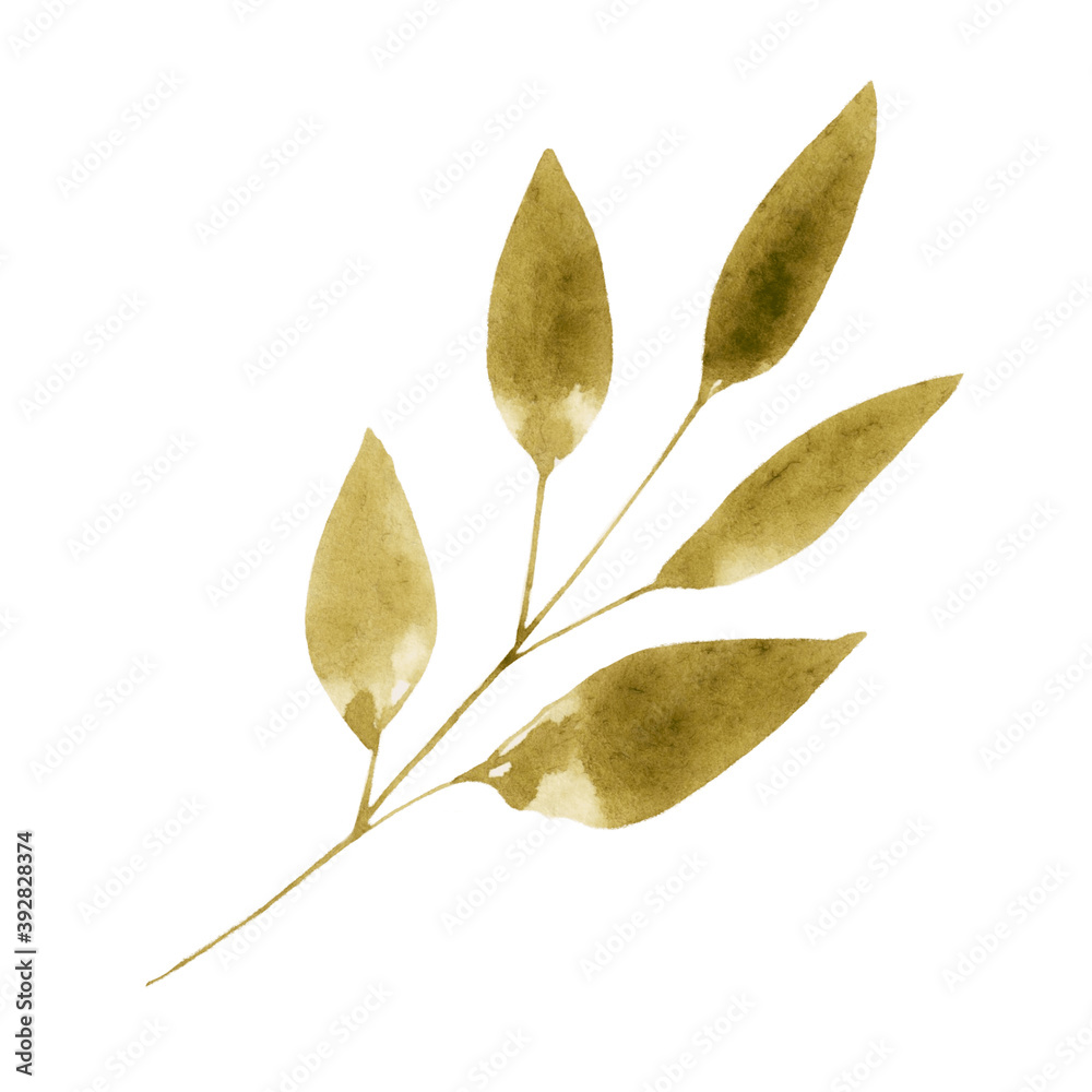 Drawing of watercolor twig with leaves twig isolated. Part of a tree ...