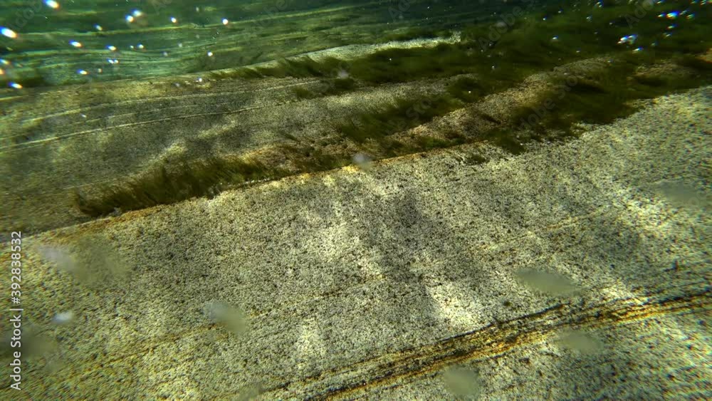 Closeup underwater view of water and smooth rock with algae glows in ...