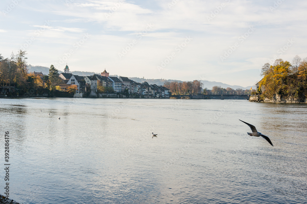Foto de Rheinfelden, Rhein, Rheinufer, Stadt, Altstadt, alte ...