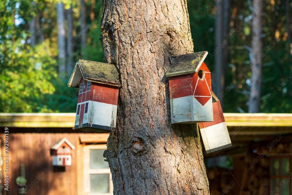 Three bird feeders on a tree in the garden Stock Photo | Adobe Stock