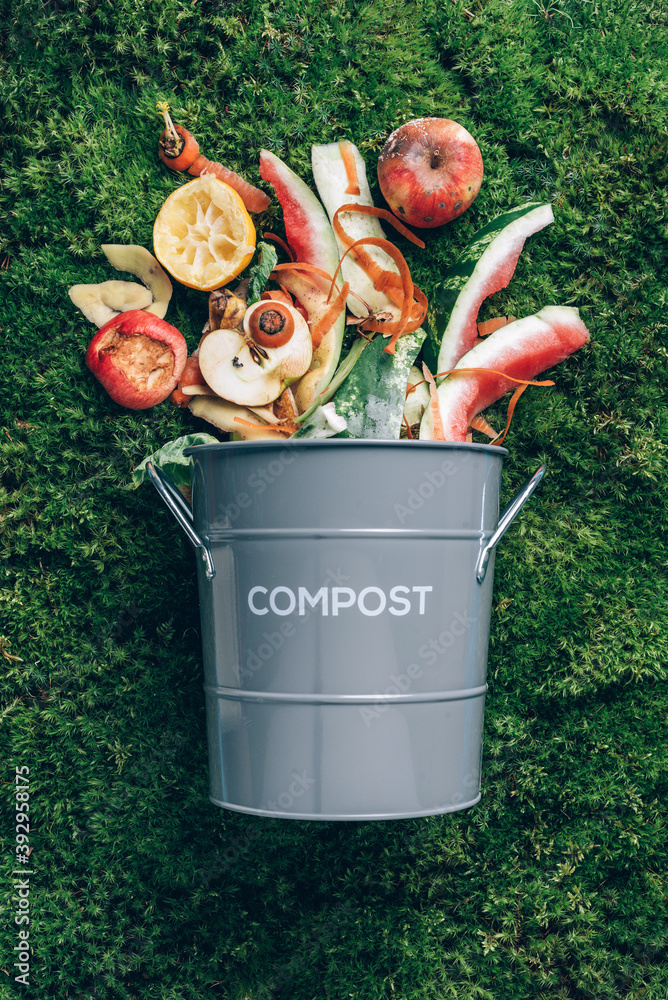 Peeled vegetables in white compost bin on green grass, moss background ...