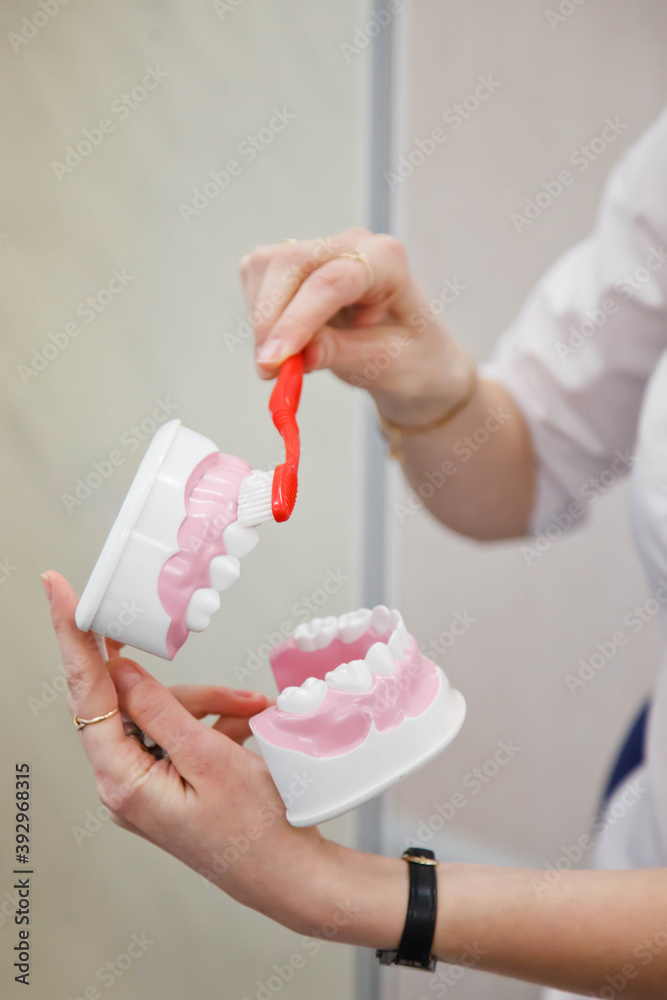 Female dentist prosthetist shows rules for brushing teeth. Show off ...