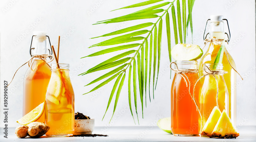 Fermented Kombucha Drinks. Homemade probiotic superfood tea, keto diet ...