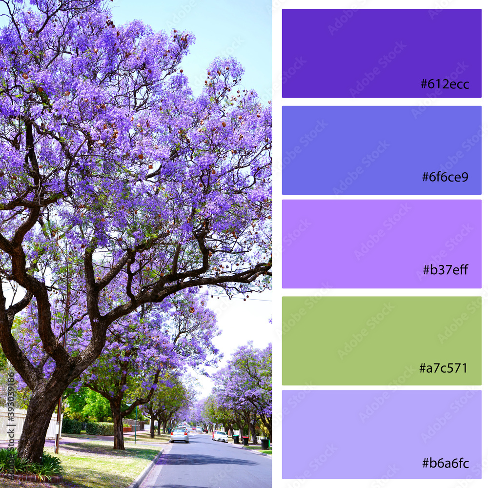 Springtime Designer Color Palette inspired by the beautiful purple ...
