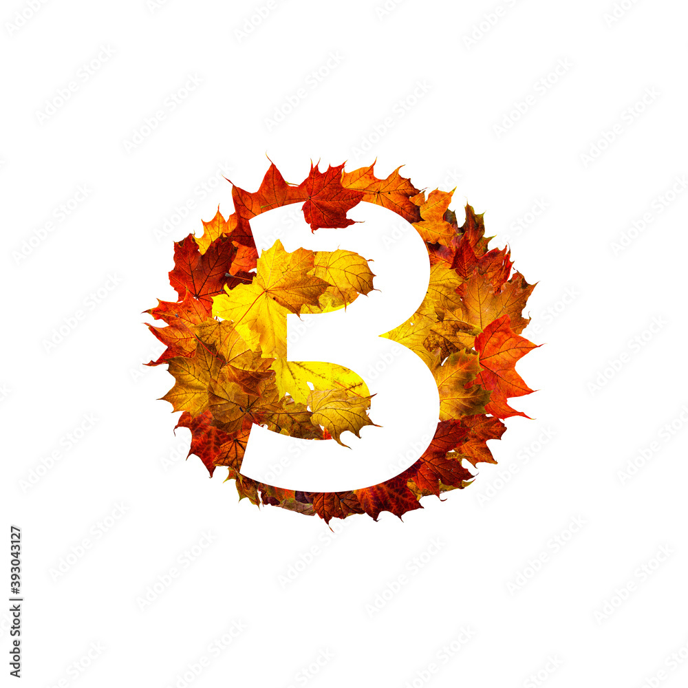 Number three in the circle frame of colorful autumn maple leaves ...