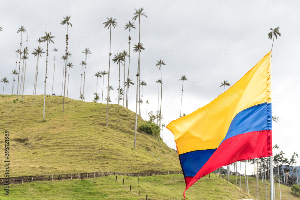 Bandera de Colombia, tradición, cultura. Valle de Cocora, Salento ...
