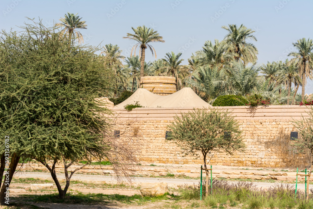 Date trees and ruins of Diraiyah clay castle, also as Dereyeh and ...