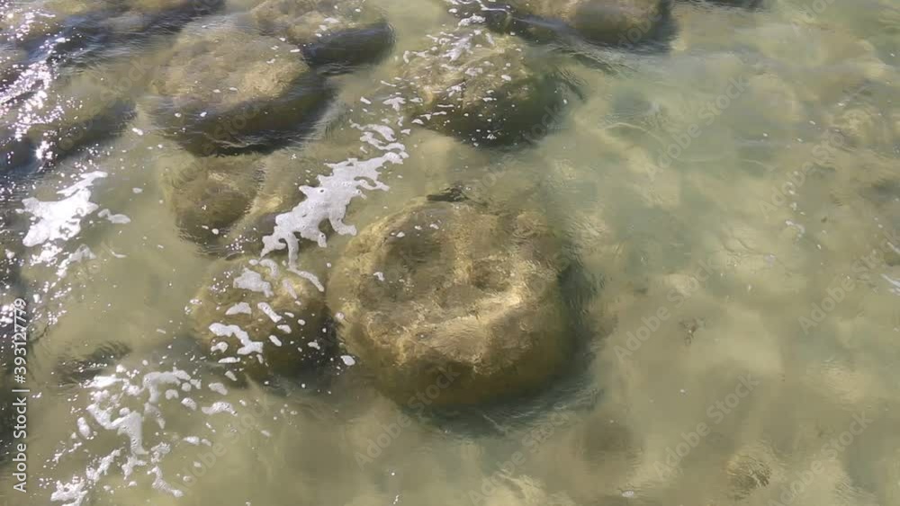 Video „Thrombolites at Lake Clifton, prehistoric life forms in shallow ...