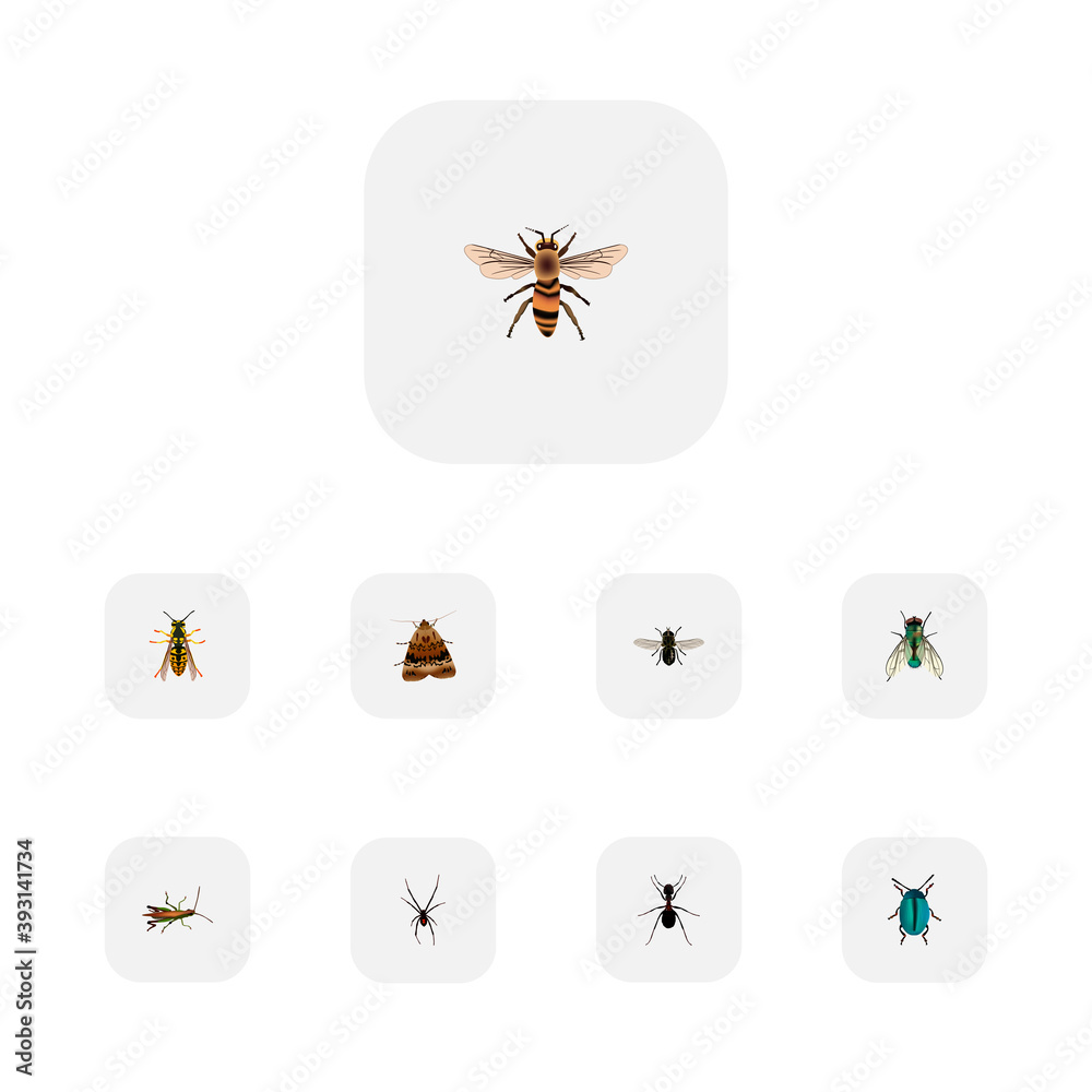 Set of insect realistic symbols with fly, pismire, grasshopper and ...