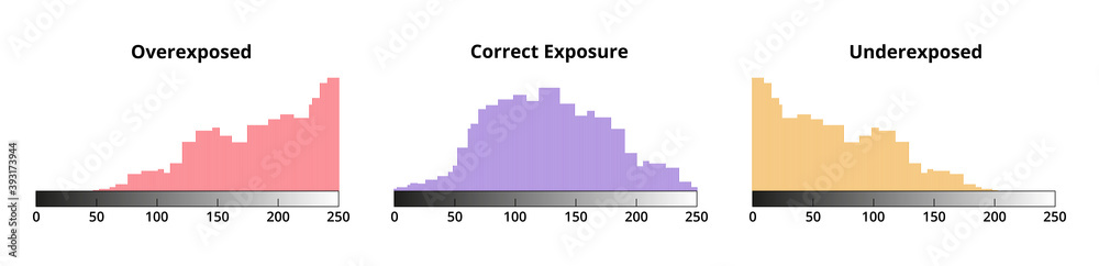 Vector set of photo histograms isolated on white background. Correct ...