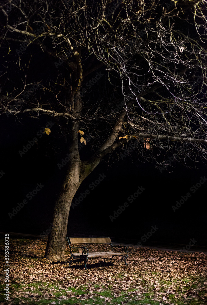 Bench in the spotlight at night. Empty brown bench in park at dark ...