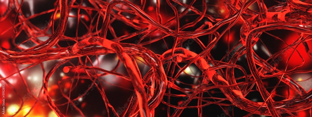 Blood vessels, circulatory system, veins and arteries, banner, Stock ...