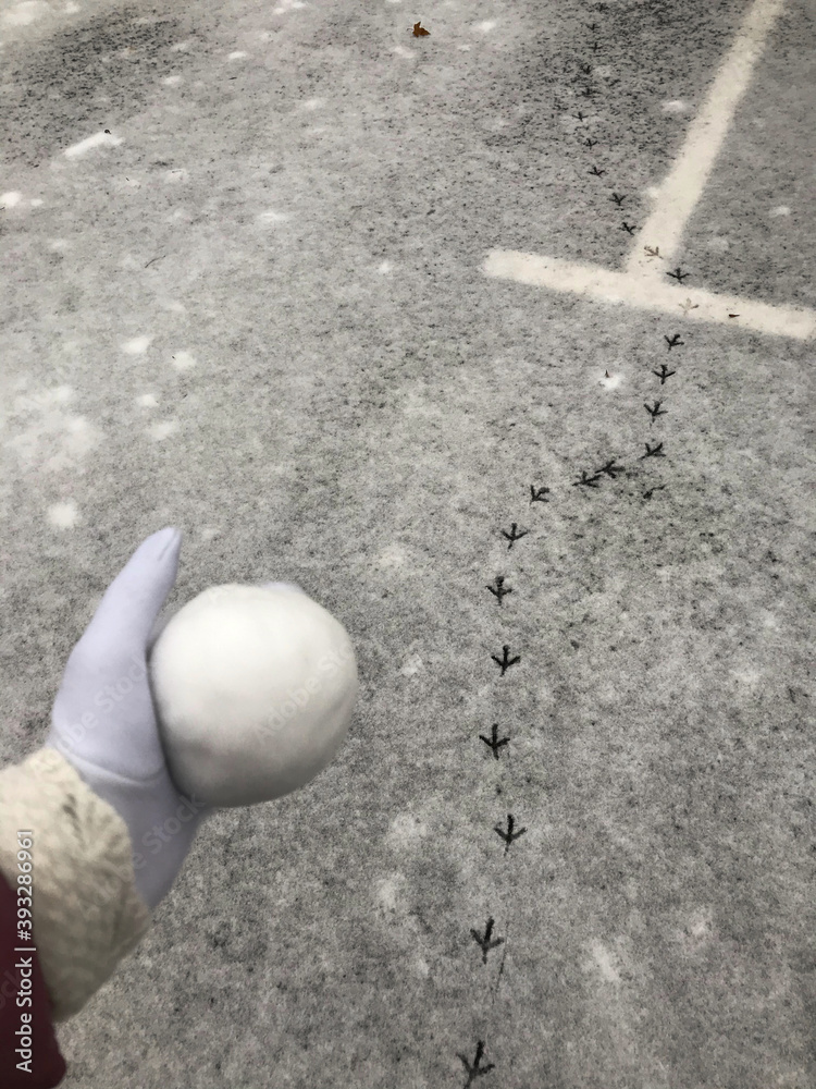 Snowball in a woman's hand. Against the background of asphalt covered ...