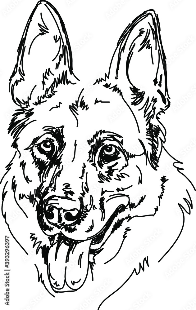 German Shepherd Puppy Snout