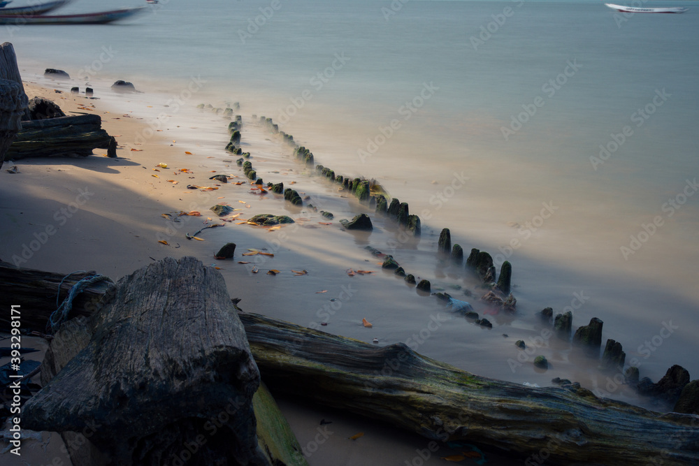 Detalle en la playa de la isla de Carabane, en la desembocadura del rio ...