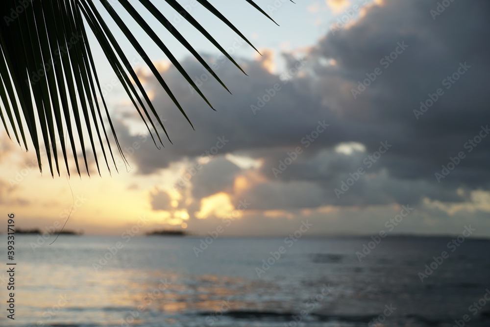 panama, san blas, isla diablo, isla perro, isla perro chico, tropical ...