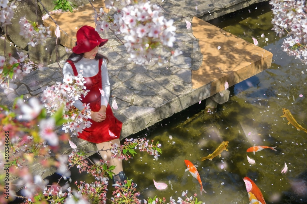 Japanese woman is sitting under the Sakura tree. Japanese Cherry ...