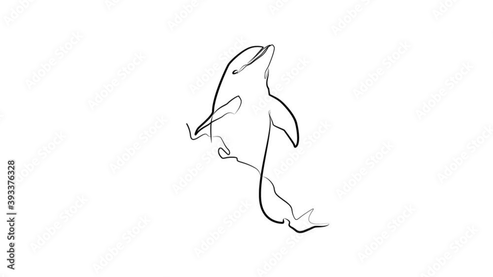 Dolphin in one line. Black line animation on white background Stock ...
