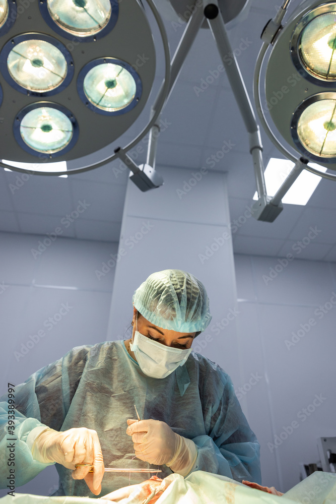 Woman veterinarian wear medical mask stands under surgical lights, does ...