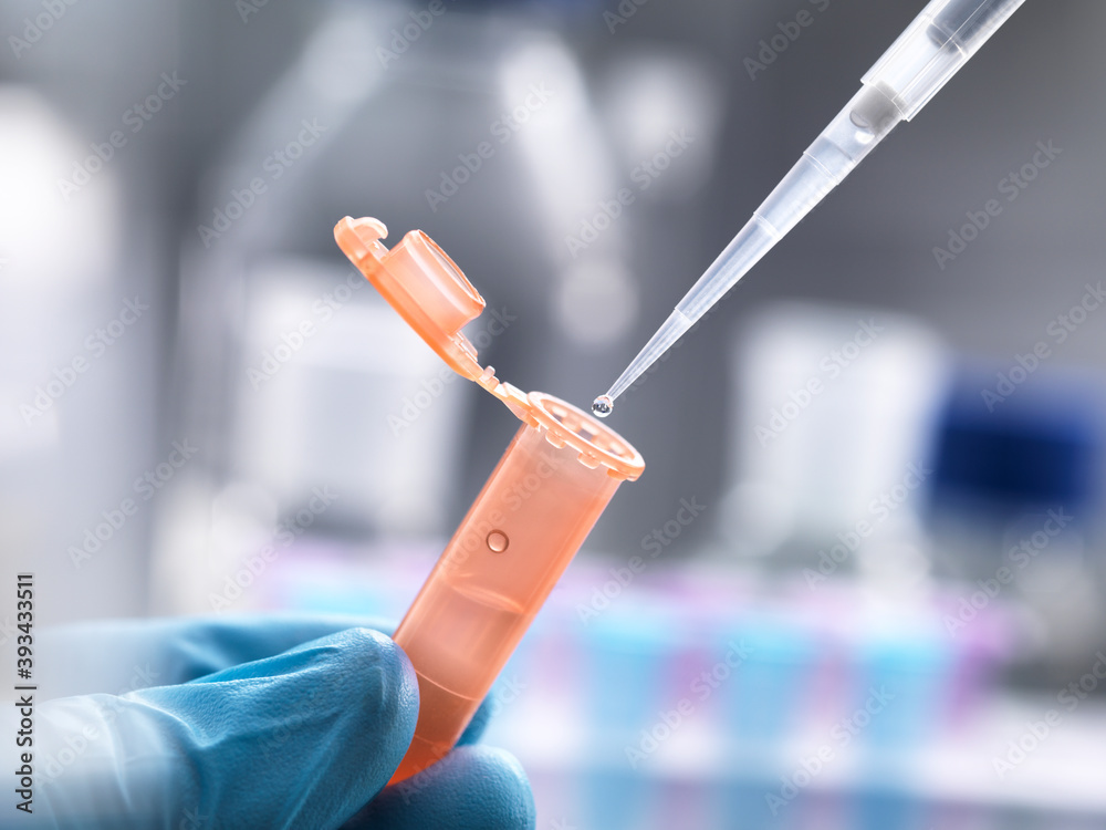 Scientist pipetting a sample into a eppendorf tube Stock Photo | Adobe ...