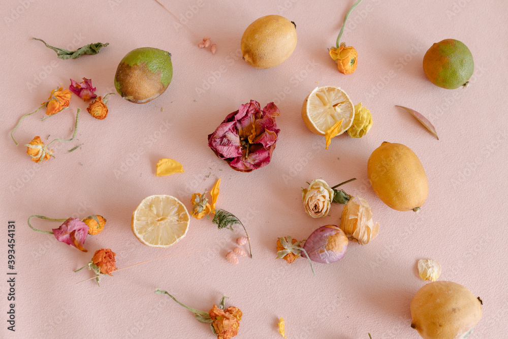 still life with rotten fruits and faded flowers Stock Photo | Adobe Stock