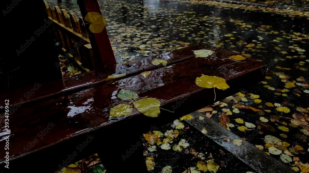 Wooden bench in an autumn park in the rain with fallen leaves. Fallen ...