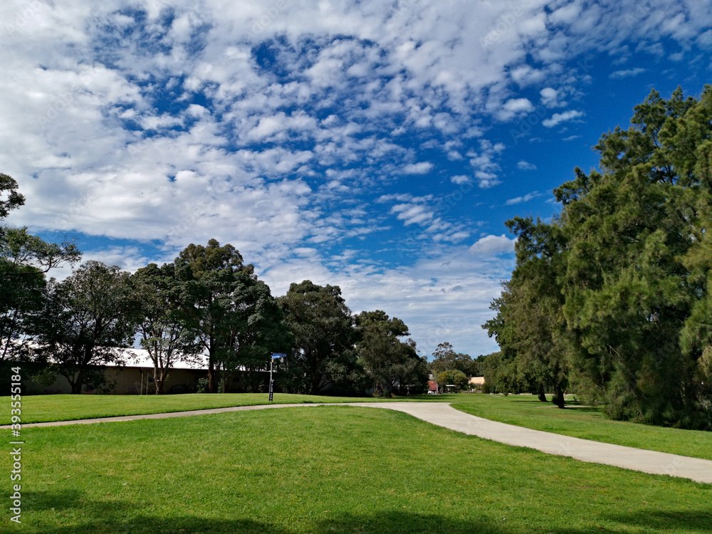 Beautiful view of a park with green grass, tall trees and paved trail ...