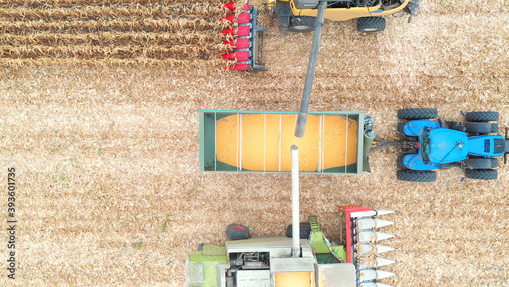 Aerial shot of two combines loading off corn grains into tractor ...