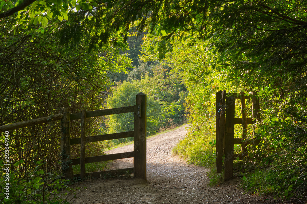 Path and gate in countryside, Surrey, England Stock Photo | Adobe Stock