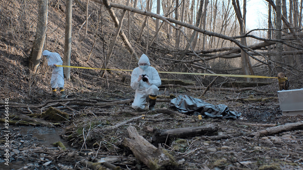 Poster Detectives are collecting evidence in a crime scene – Wall Art ...