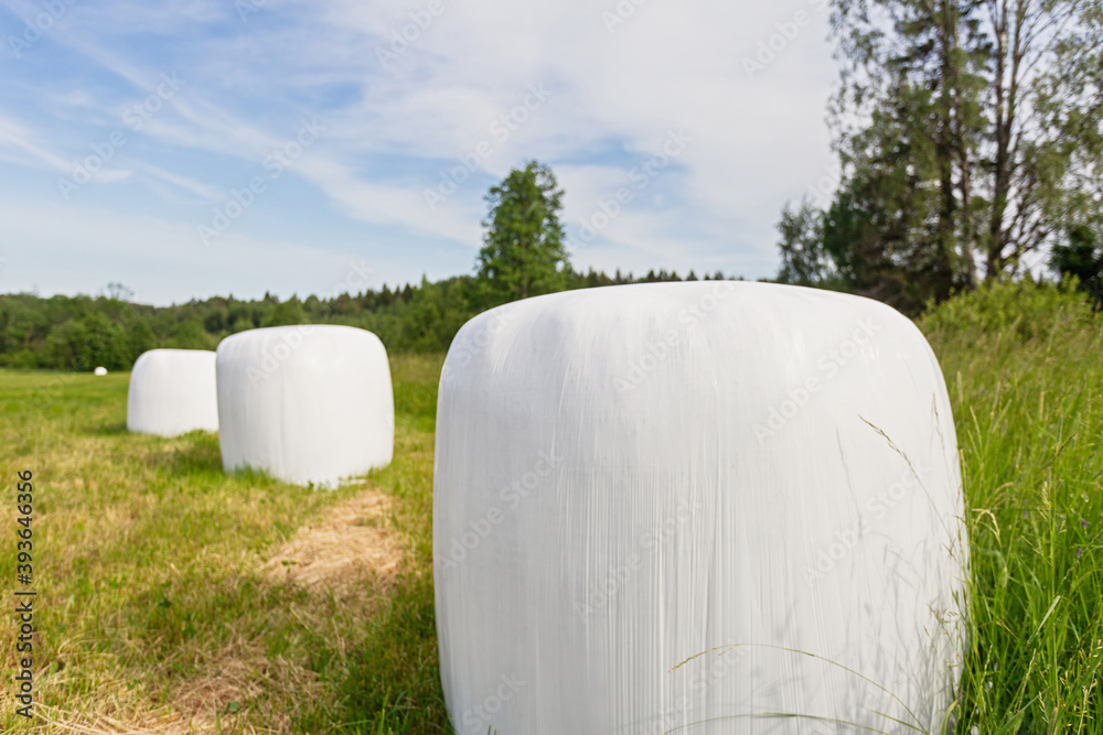Foto de Packed in white plastic polyethylene haystacks. Haystacks in ...