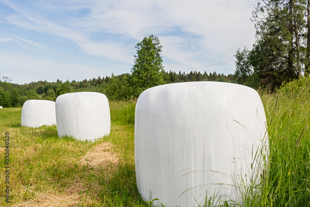 Packed in white plastic polyethylene haystacks. Haystacks in PVC film ...