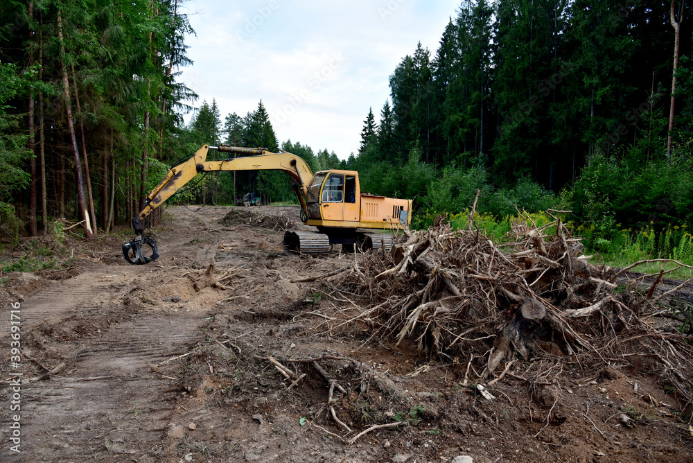 Excavator Grapple during clearing forest for new development. Tracked ...
