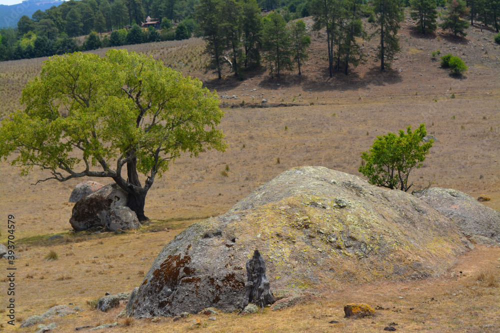 Paisaje rocoso natural en Parque Nacional sobre pastizal y montañas ...