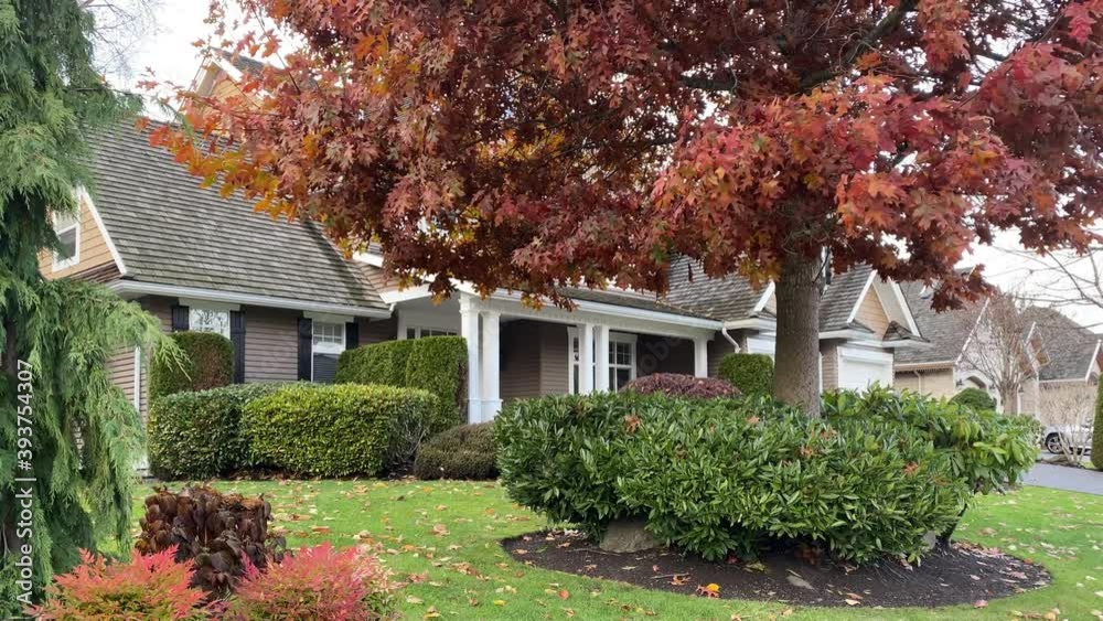 Houses with Fall Foliage in Suburb of Vancouver. Still Camera View. 4K ...