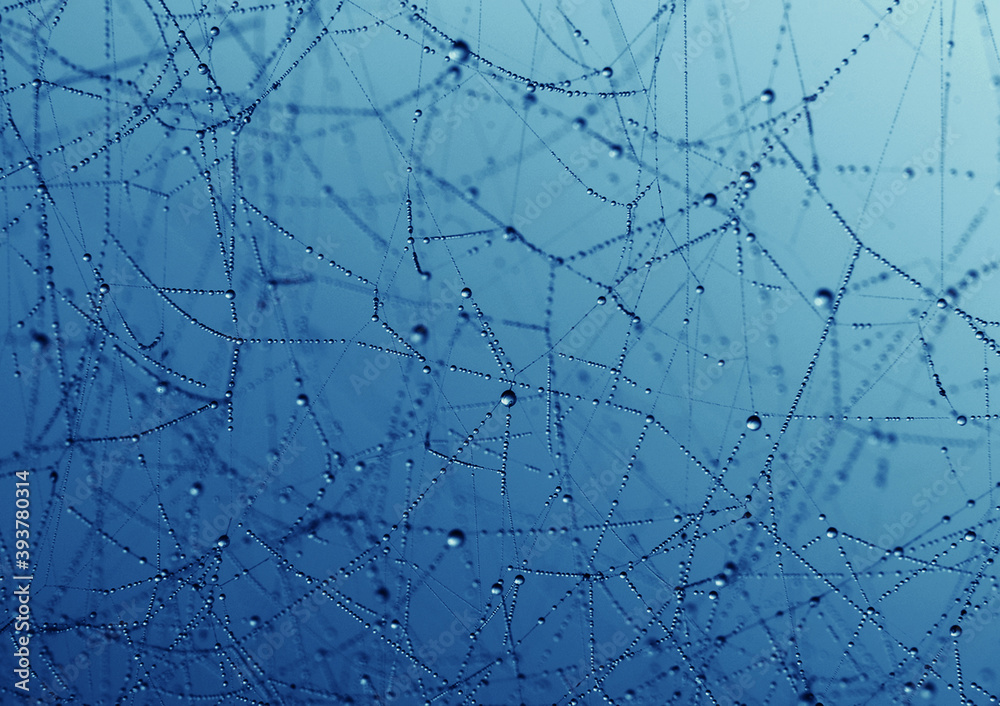 spiderweb natural rain pattern background,Cobweb with drops of rain ...